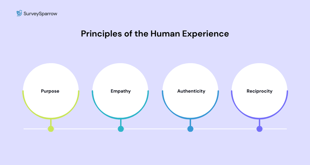 Human Experience: A New Age Formula for Improving CX