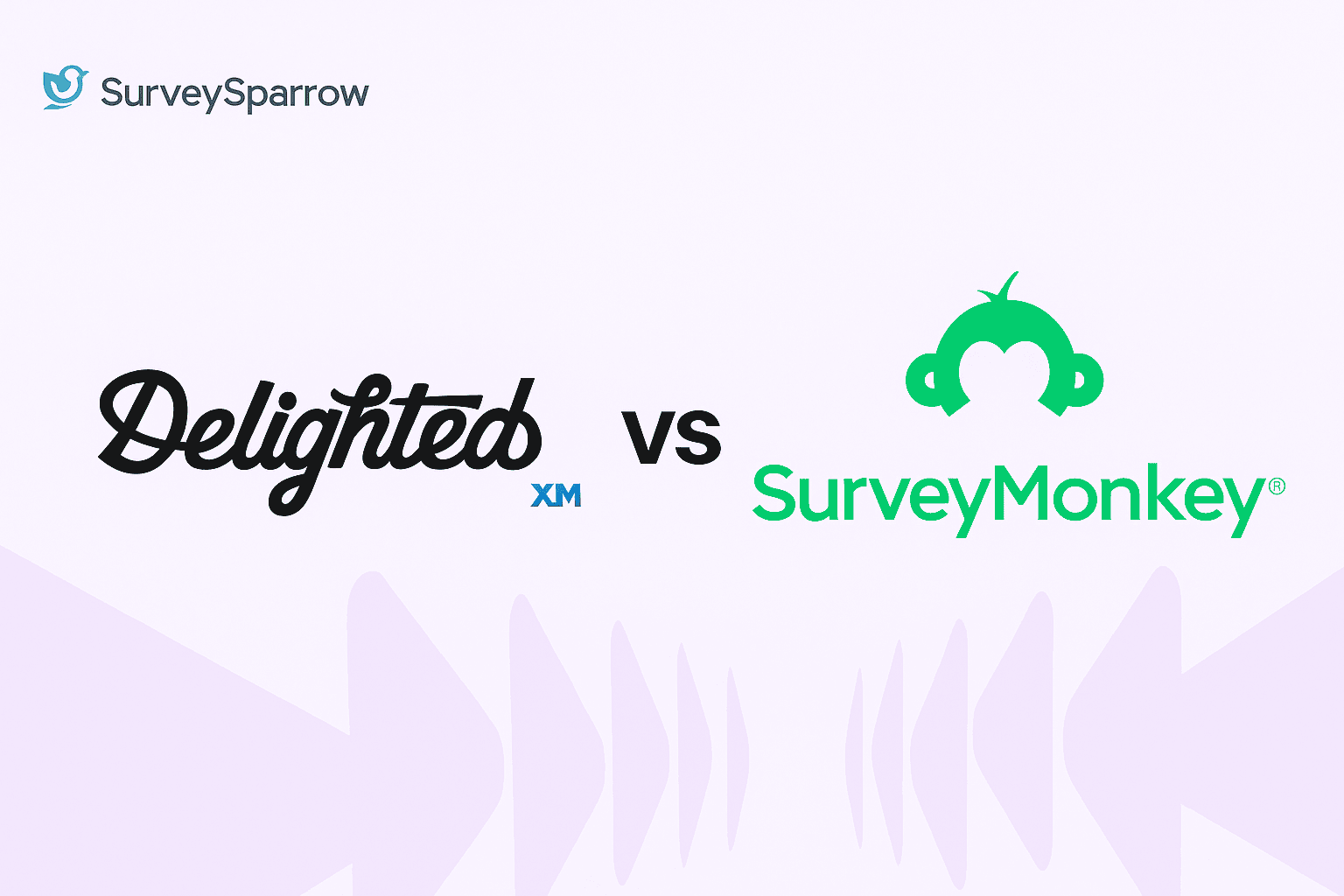 Delighted vs SurveyMonkey: The Shocking Truth About Which Survey Tool ...