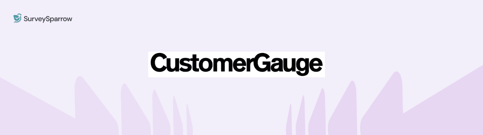 The 6 Best CustomerGauge Alternatives for 2025 (Powerful + Budget-Friendly)